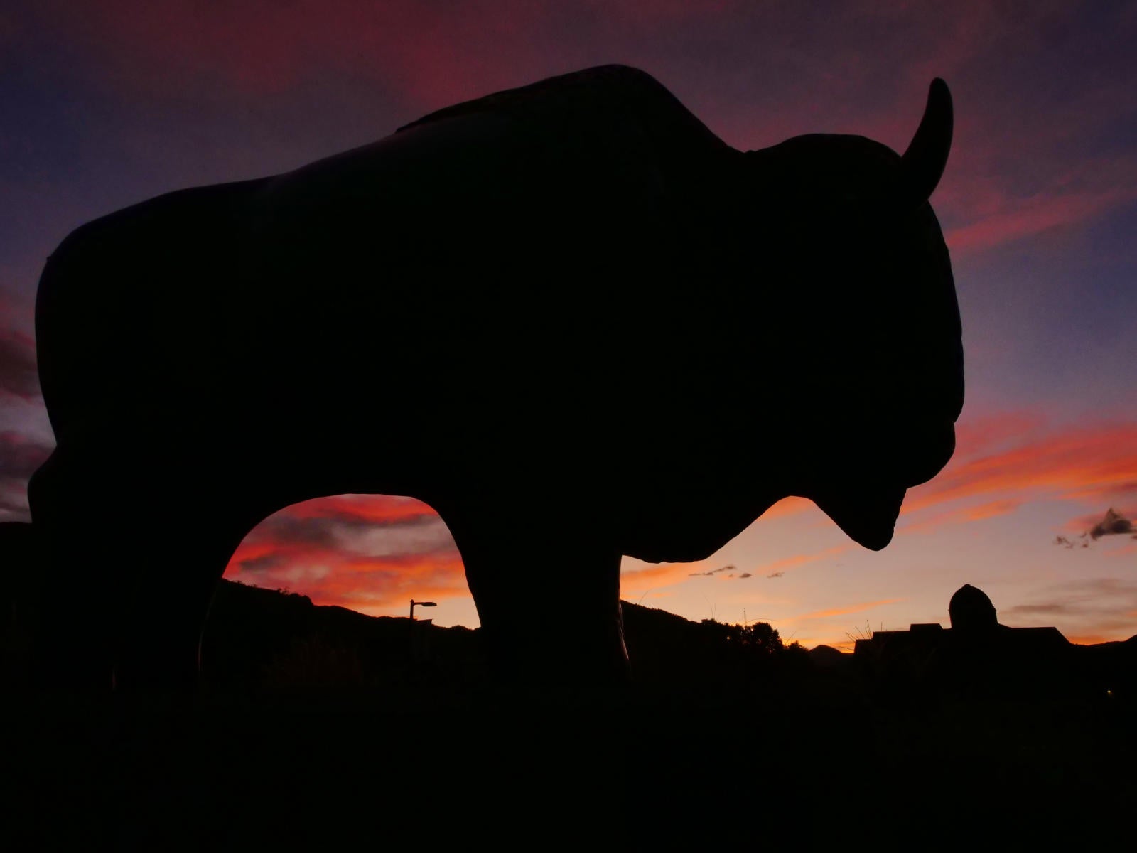 Buffs All In—tomorrow’s the day! | CU Boulder Today | University of ...