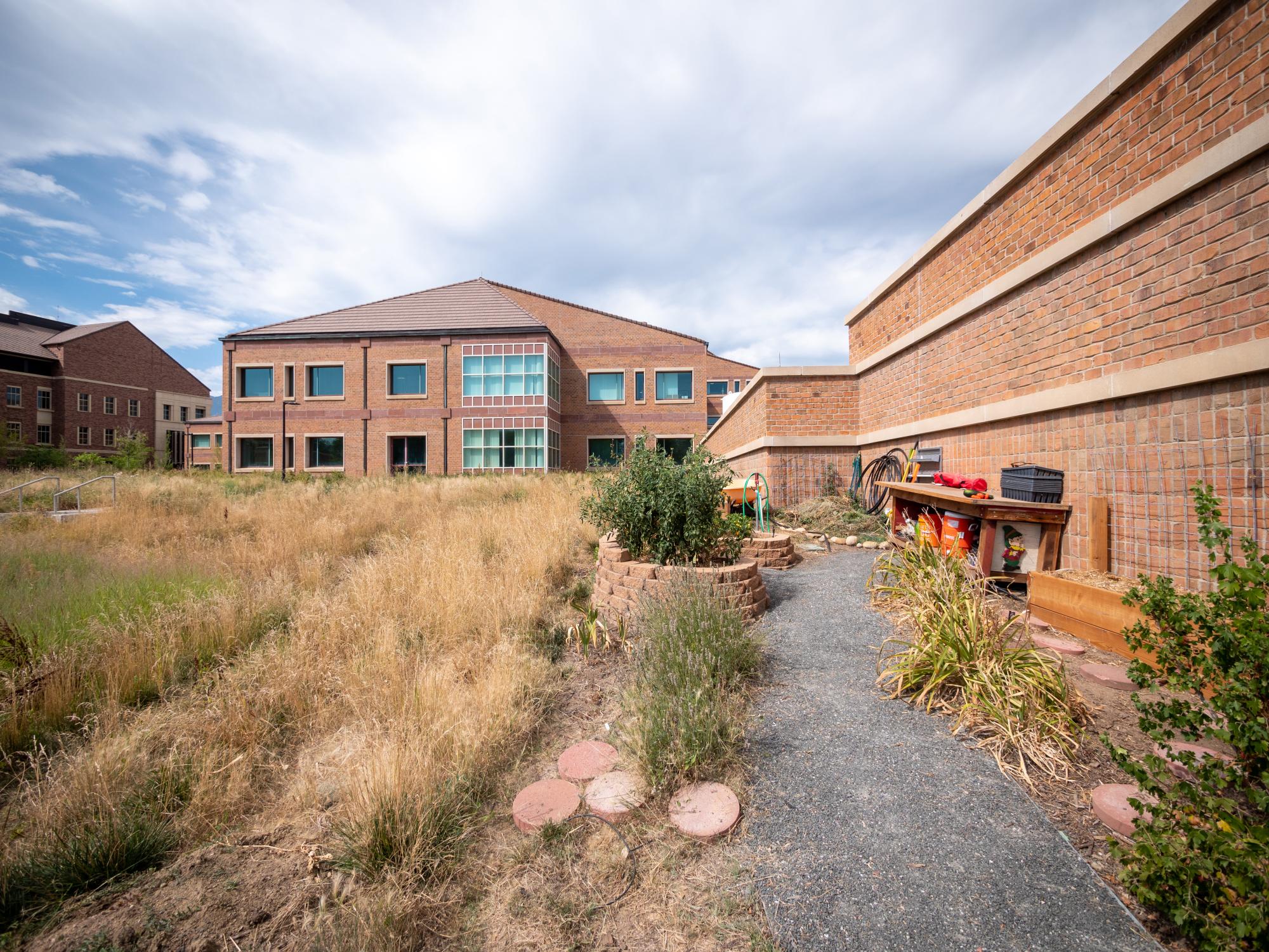Regional compost changes to impact some campus composting | CU Boulder ...