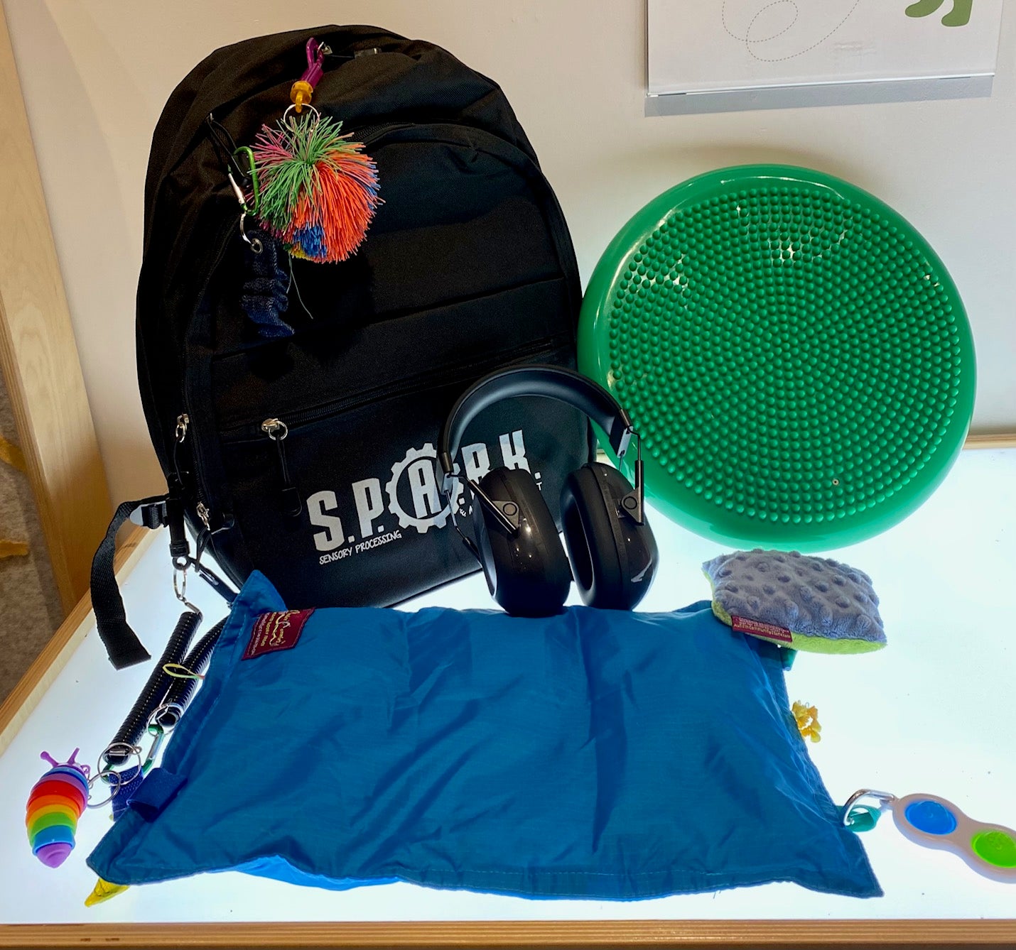 Backpack program improves museum experience for neurodiverse visitors ...