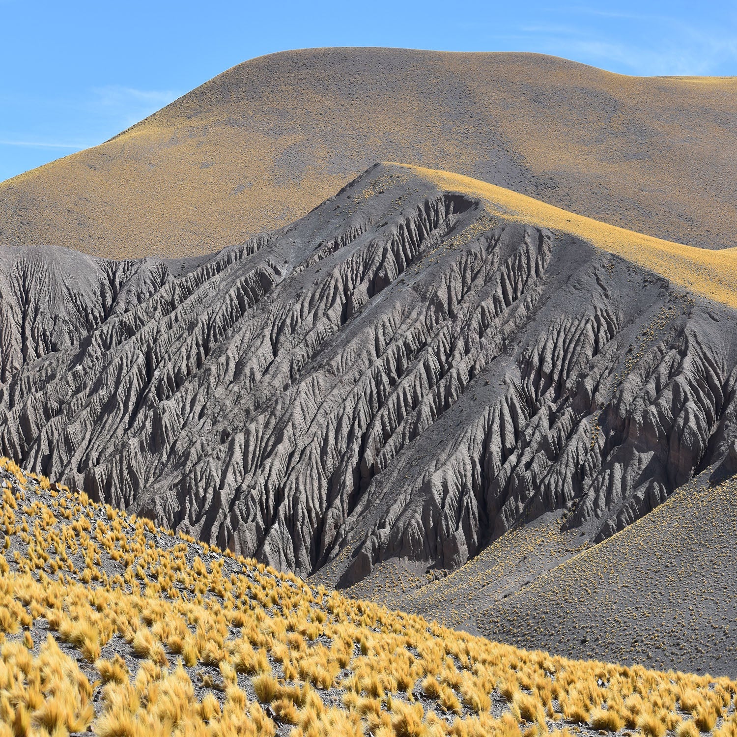 Life at 22,000 feet: A discovery of persistence on the world's highest ...