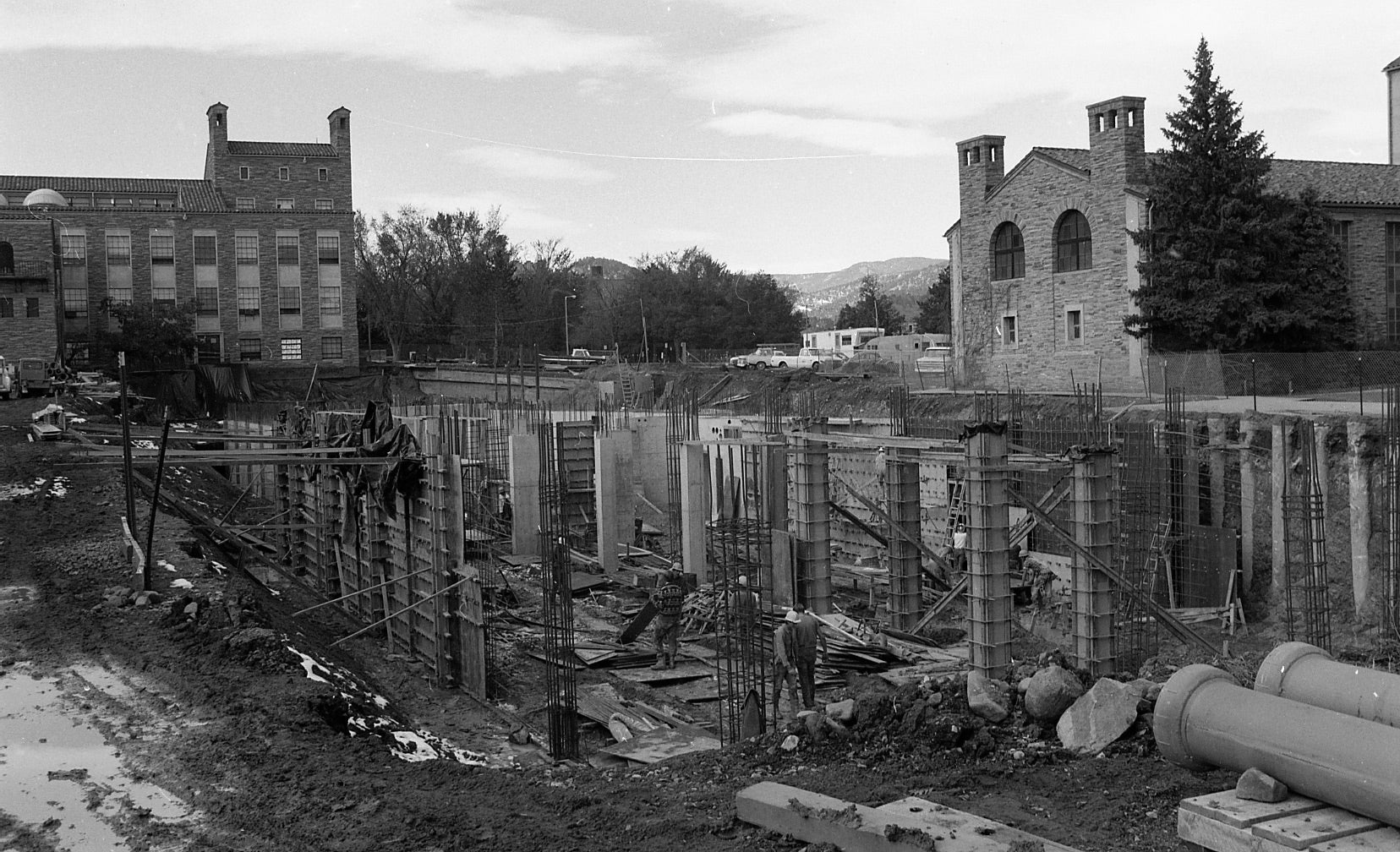 50 years later, MCDB department still breaking new ground | CU Boulder ...