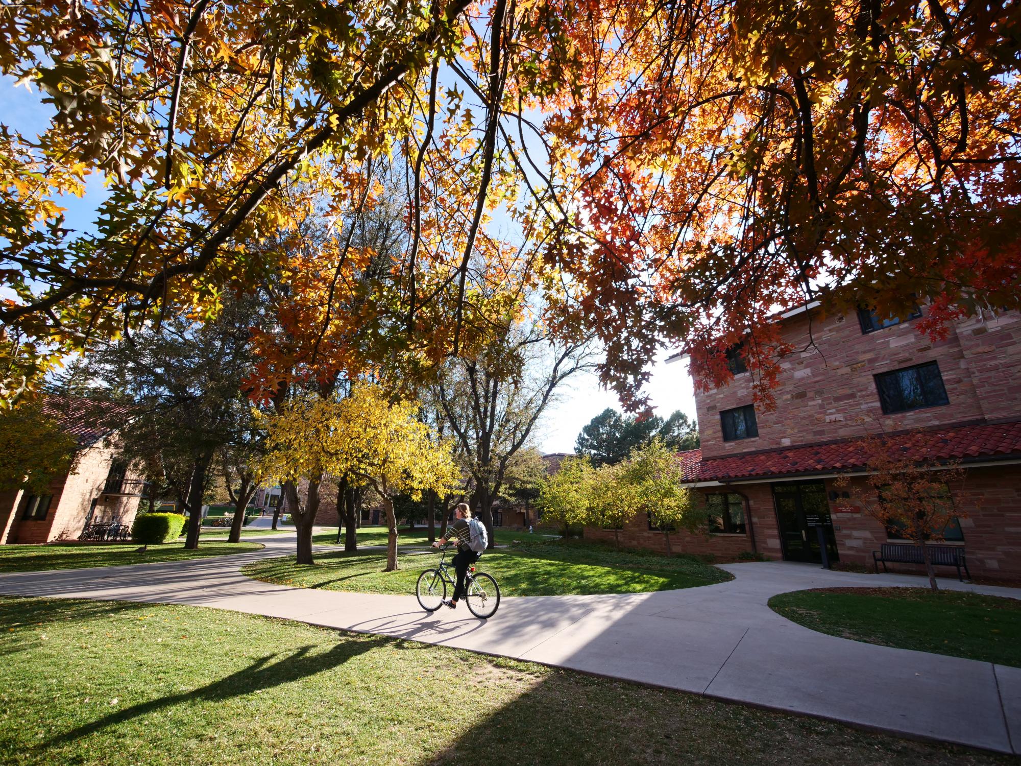 Reach out for campus support resources | CU Boulder Today | University ...
