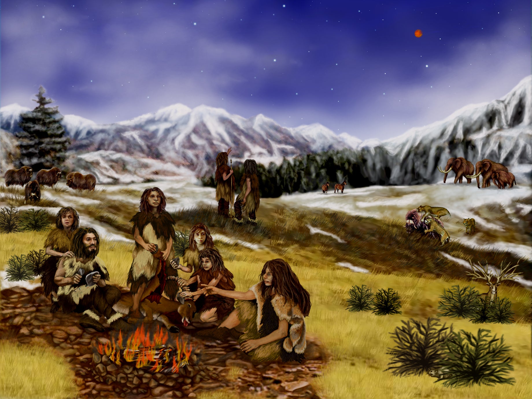 Neanderthals used resin 'glue' to craft their stone tools | CU Boulder ...
