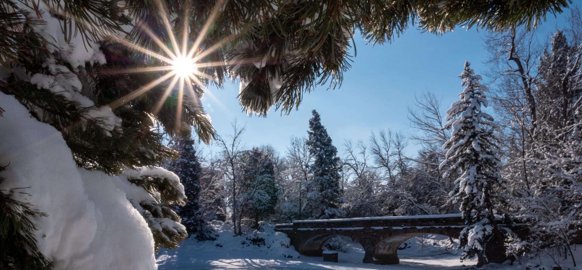 Diversity, equity and inclusion update: December 2023 issue | CU ...