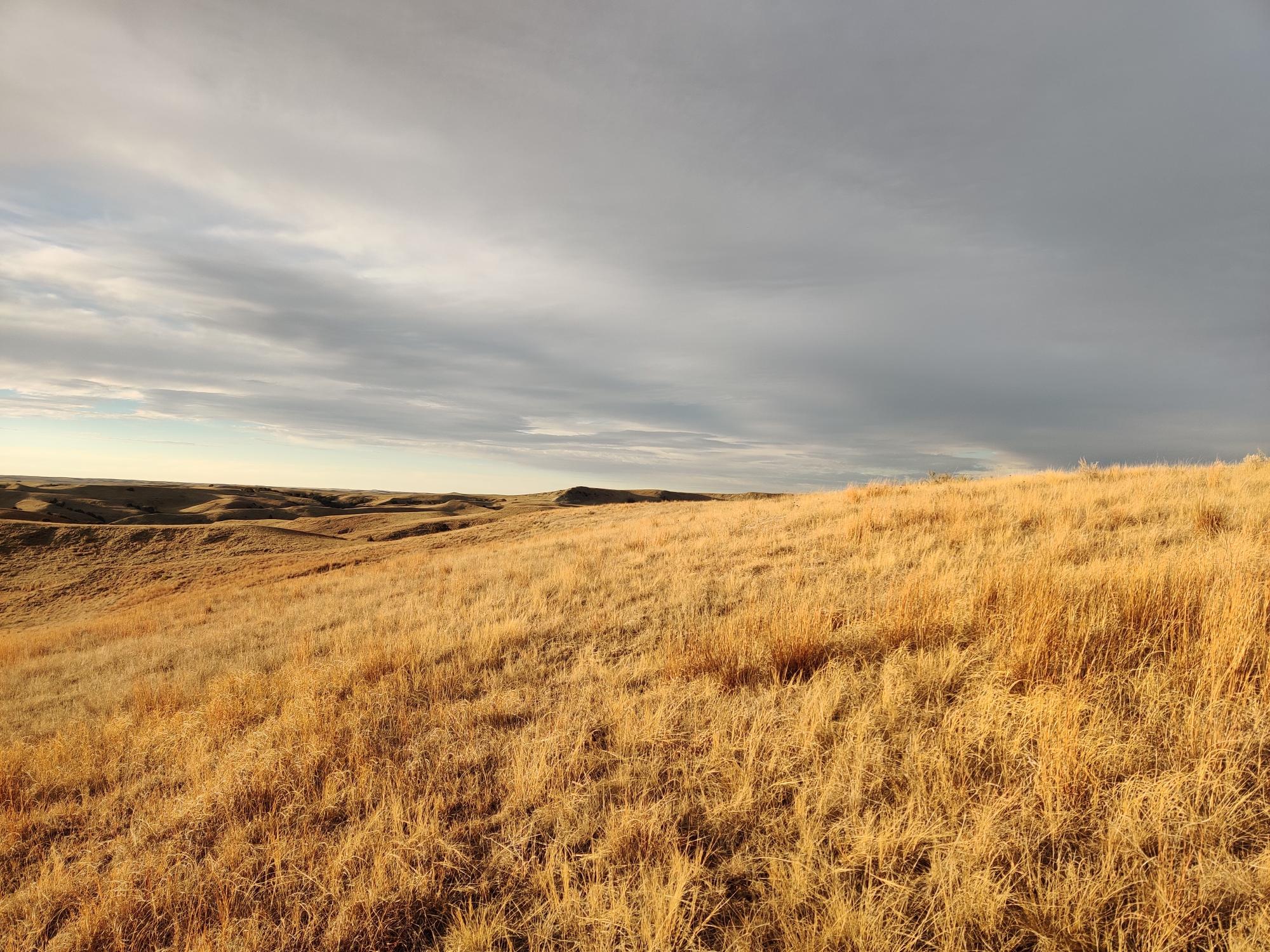 Tribal advisor redefining how Western researchers work with Indigenous ...