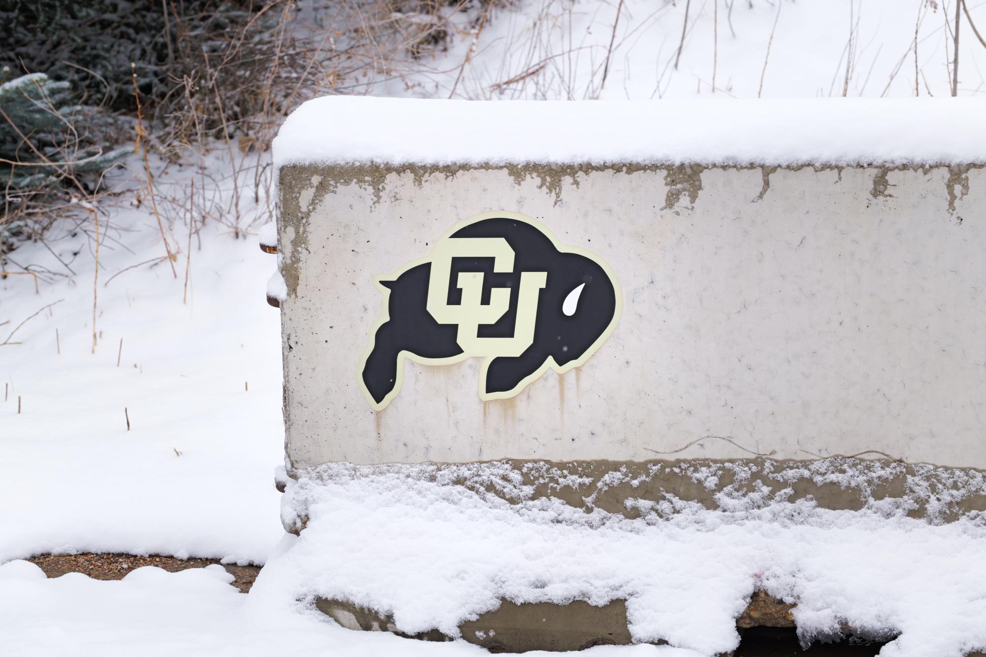 Campus Sustainability Executive Council to add student government ...