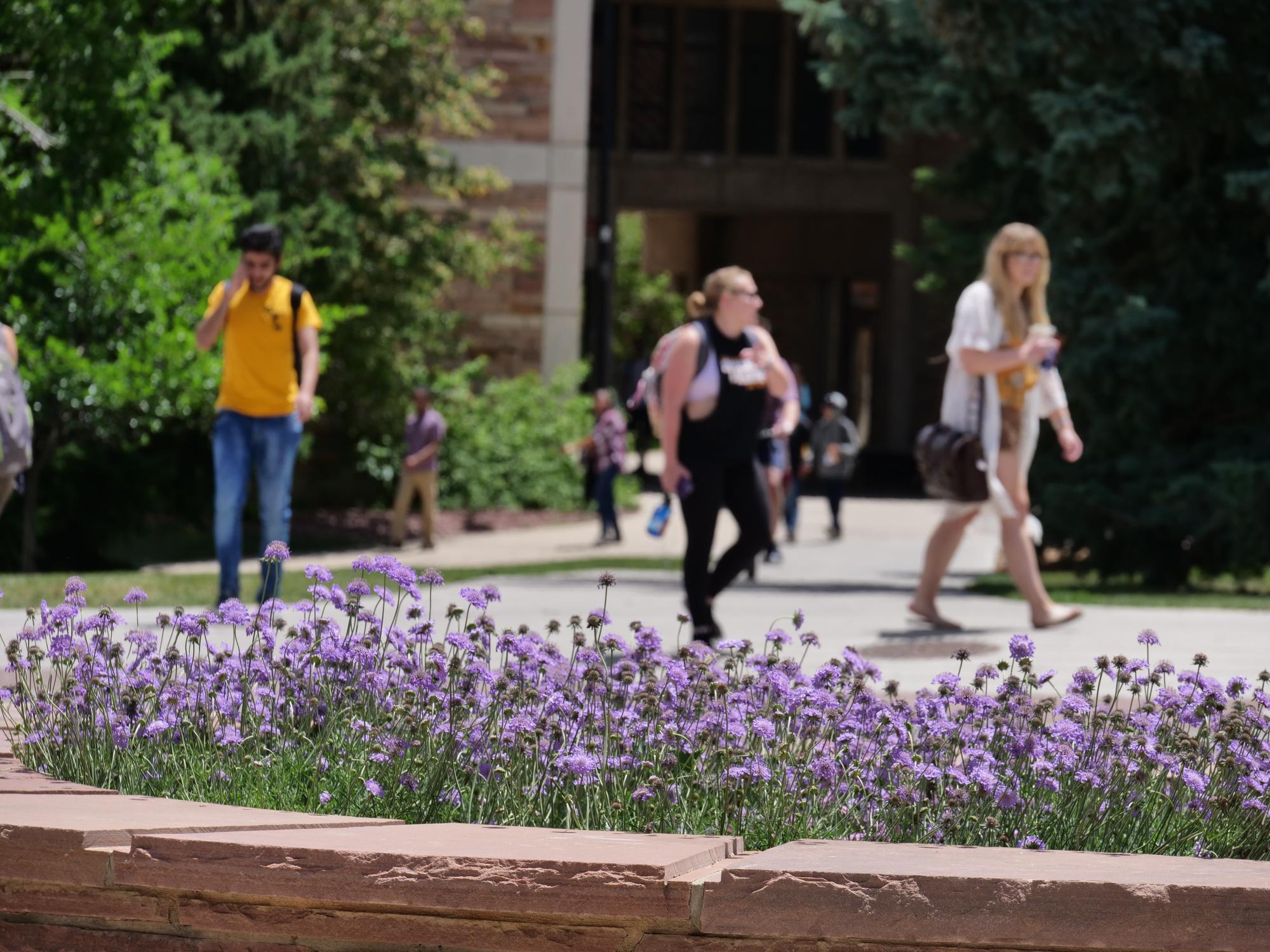 Applications welcome for assistant director of Employee Relations | CU ...