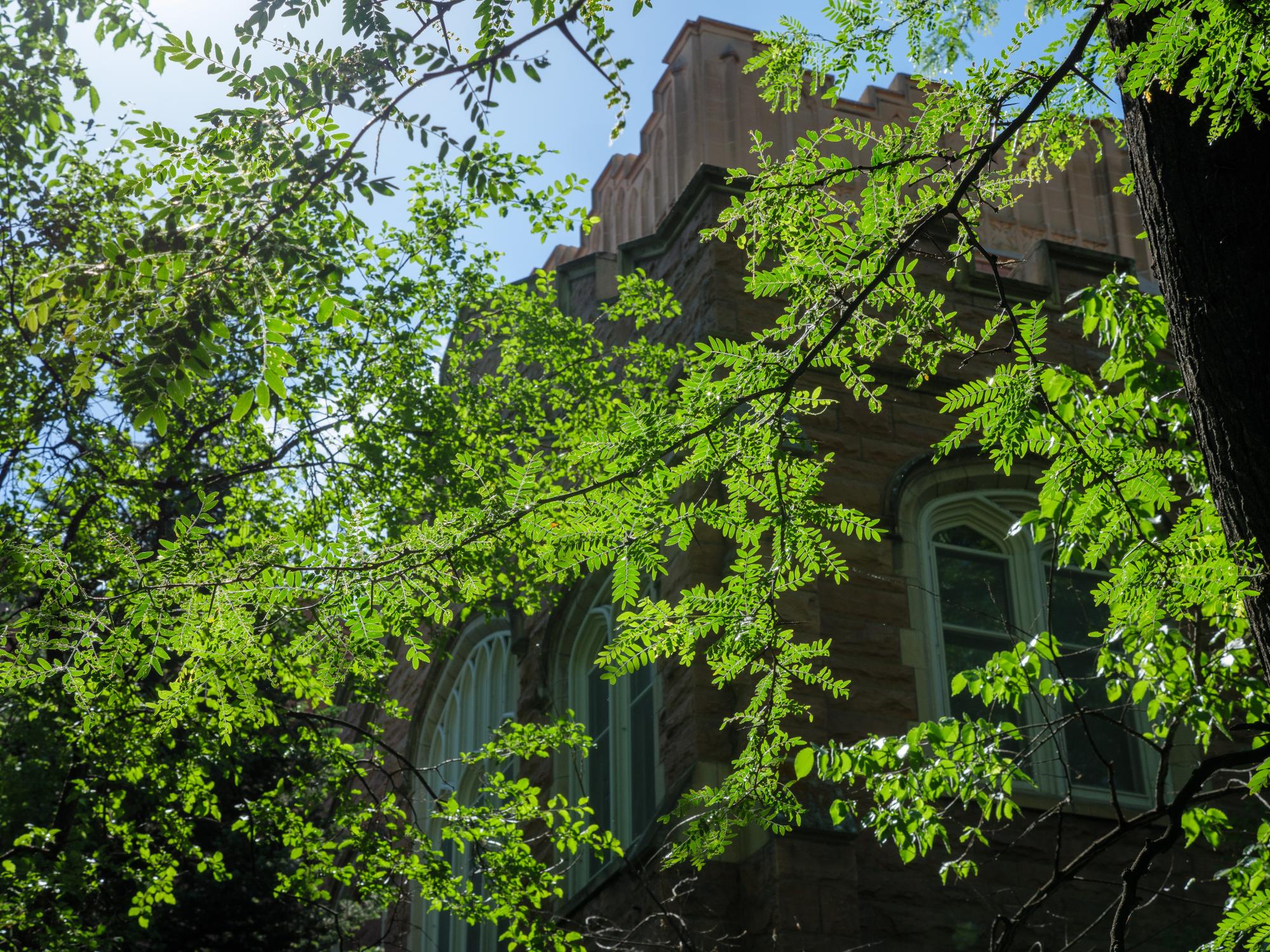 3 finalists named for top enrollment management position | CU Boulder Today | University of ...