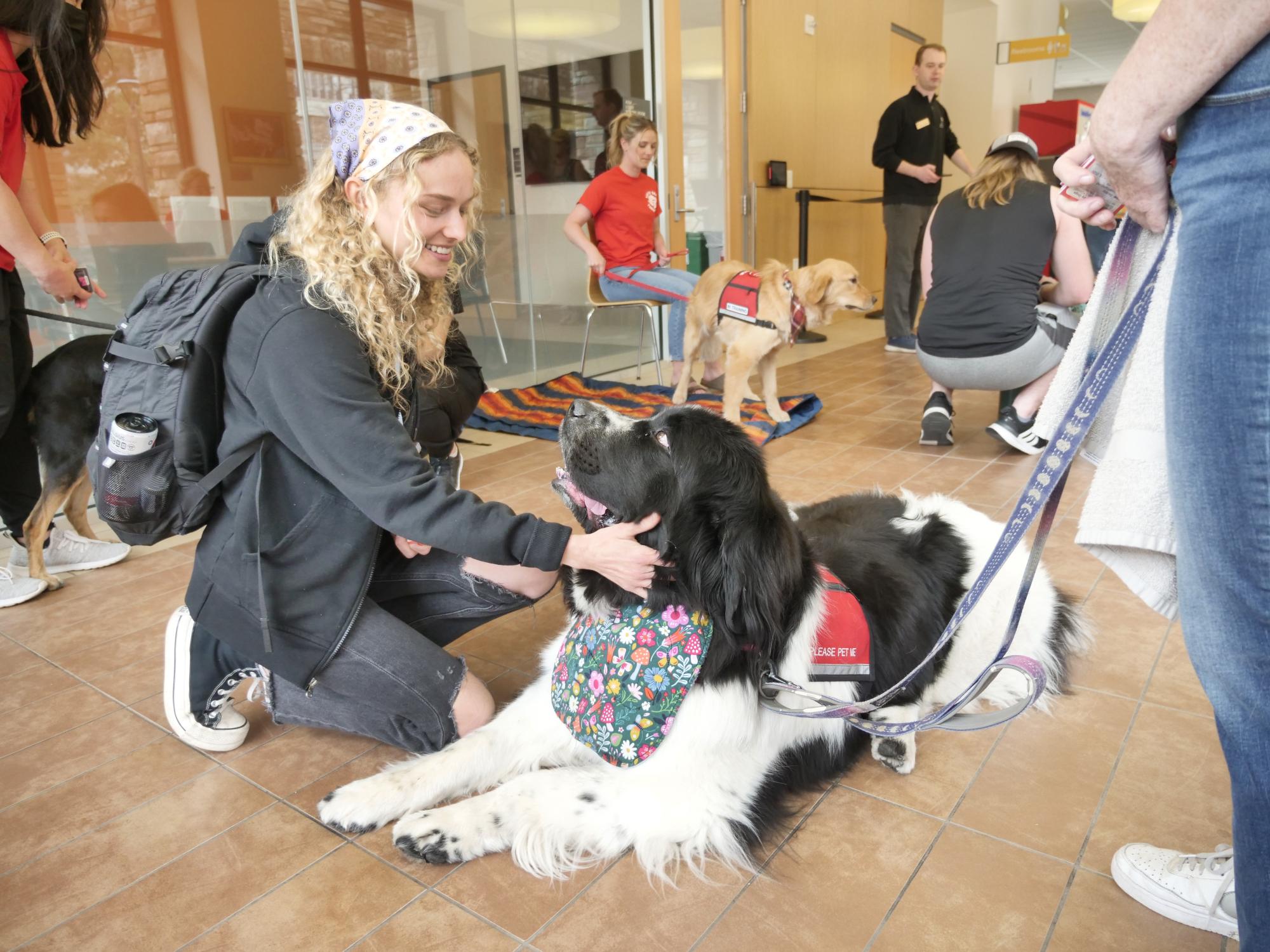Photos: Therapy dogs help students decompress before finals | CU ...