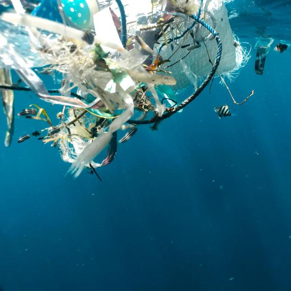 We’re drowning in single-use plastics. Here’s why and what we can do ...